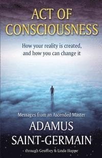 Act of Consciousness: To Be or Not to Be... Enlightened - Häftad ...
