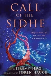 Call of the Sidhe - Pocket (9781939790361) av Soren Hauge och Jeremy Berg