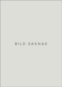 Dragons Adult Coloring Book: Stress Relieving Animal Designs ...