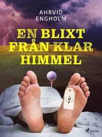 En blixt från klar himmel (e-bok) - E-bok (9788726787610) av Ahrvid Engholm